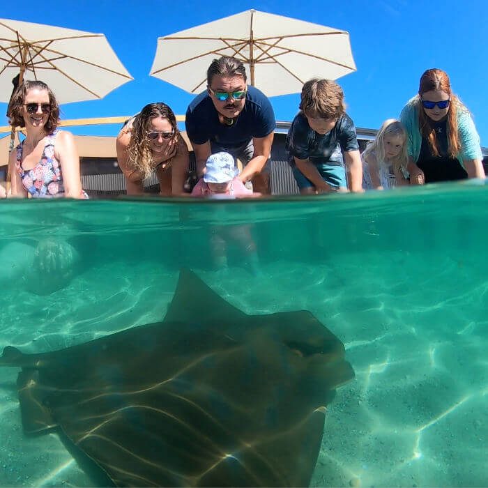 Irukandji Entry Pass - Irukandji Shark & Ray Encounters