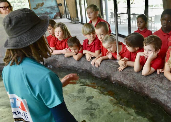 School Excursions - Bring your Class to Learn & Expire
